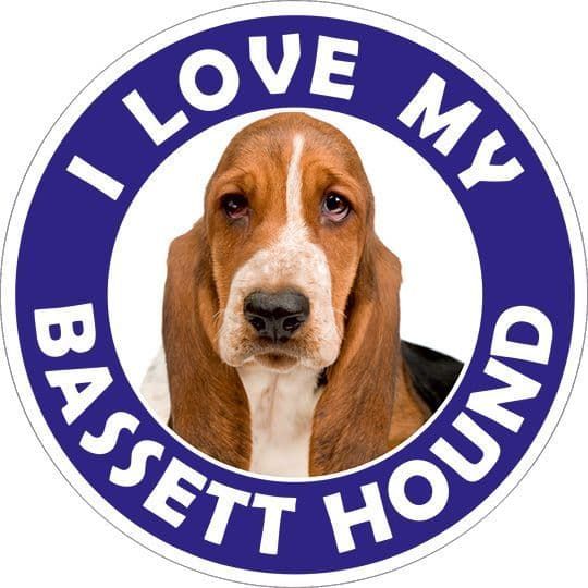 Bassett Hound sticker