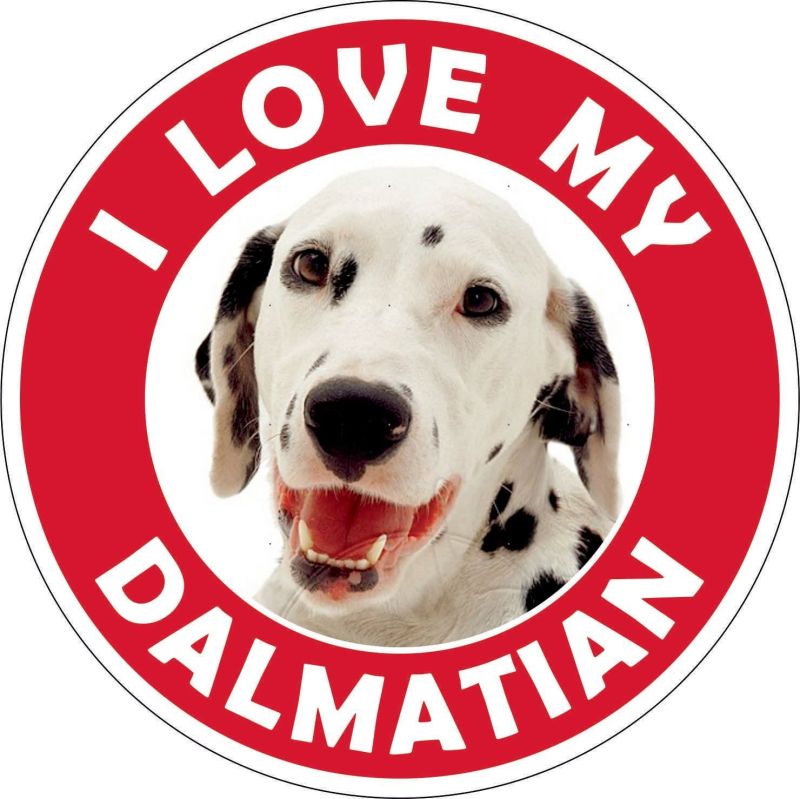 Dalmatian sticker